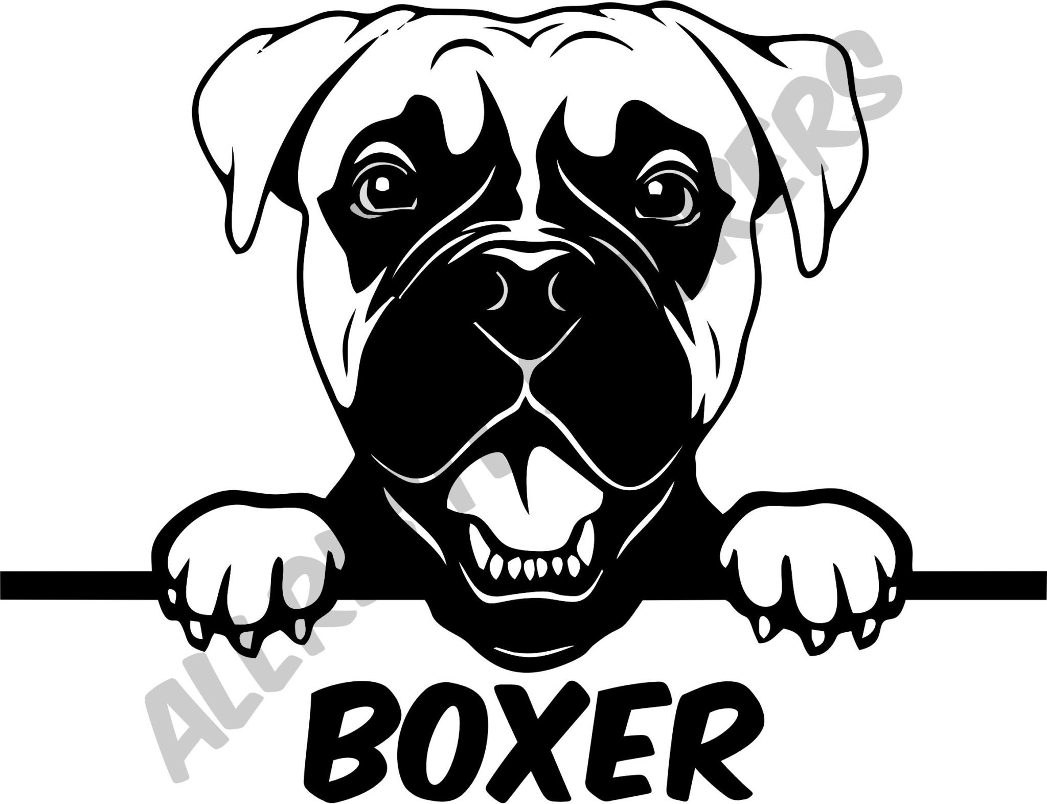 BOXER | Allright Stickers®